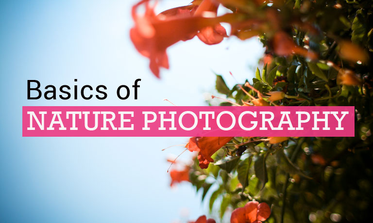Basic nature photography | academy fr